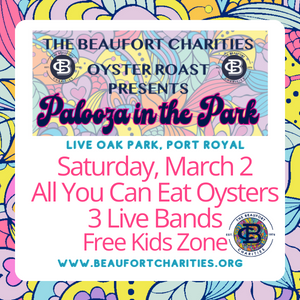 The Island News – Beaufort, SC – Bringing Our Community Together