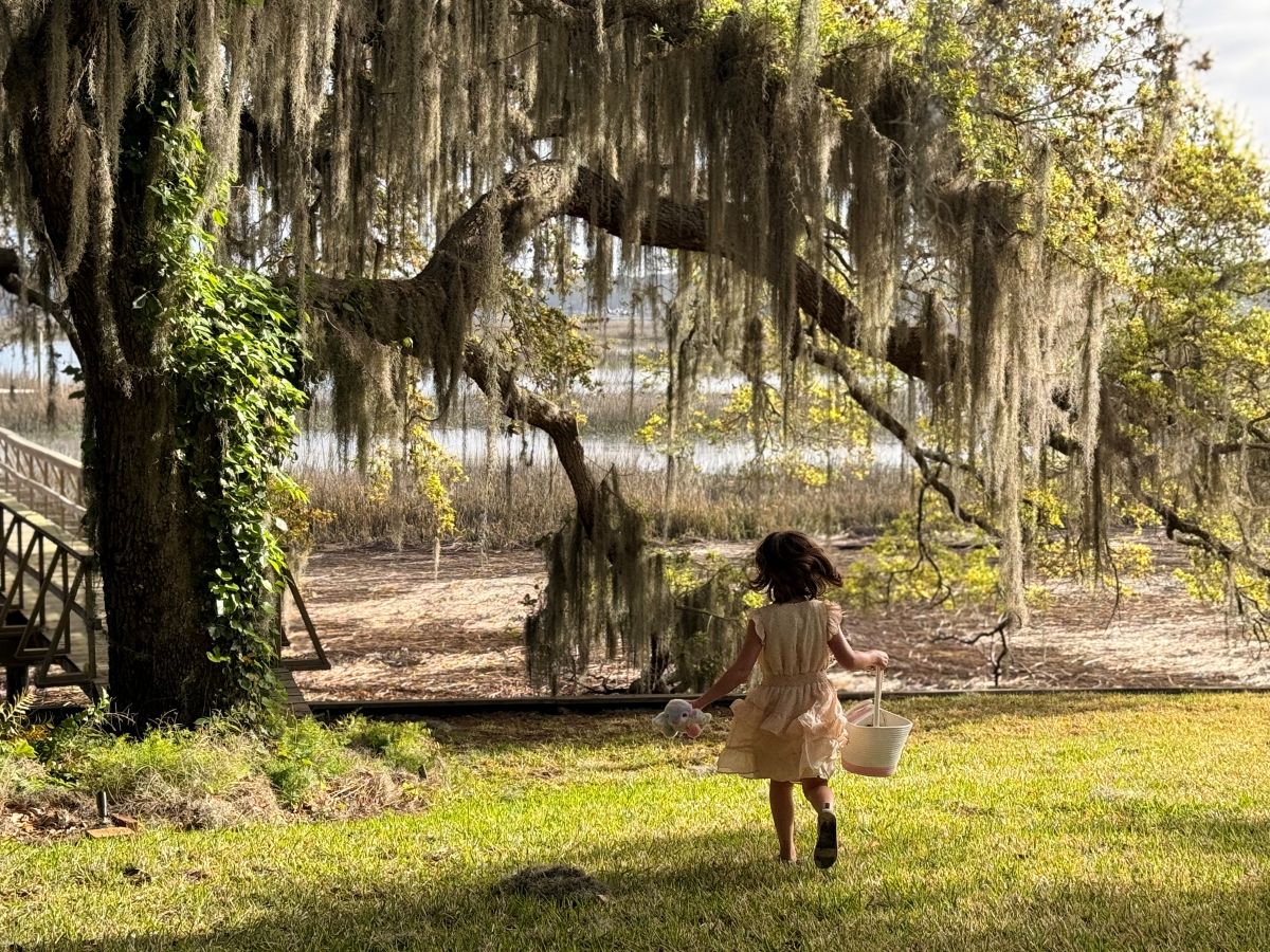 Lowcountry Life: An Easter egg hunt - The Island News